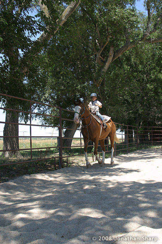 Horse Boarding Facility - Horse Boarding Stables Omaha/Bellevue ...