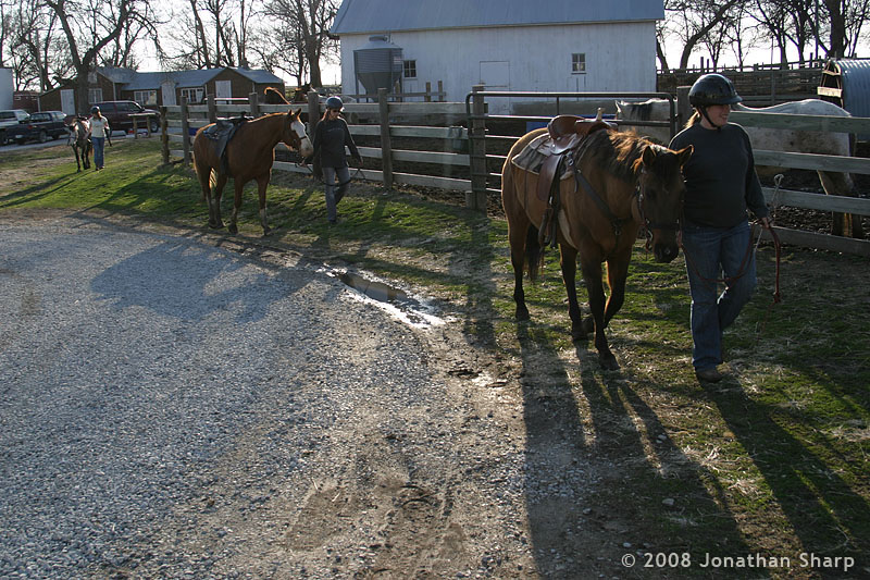 Horse Boarding Facility - Horse Boarding Stables Omaha/Bellevue ...