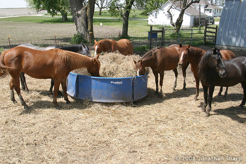 Horse Boarding Facility - Horse Boarding Stables Omaha/Bellevue ...