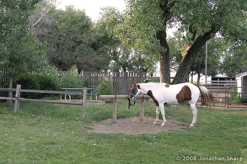 Horse Boarding Facility - Horse Boarding Stables Omaha/Bellevue ...