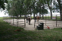 Horse Boarding Facility - Horse Boarding Stables Omaha/Bellevue ...