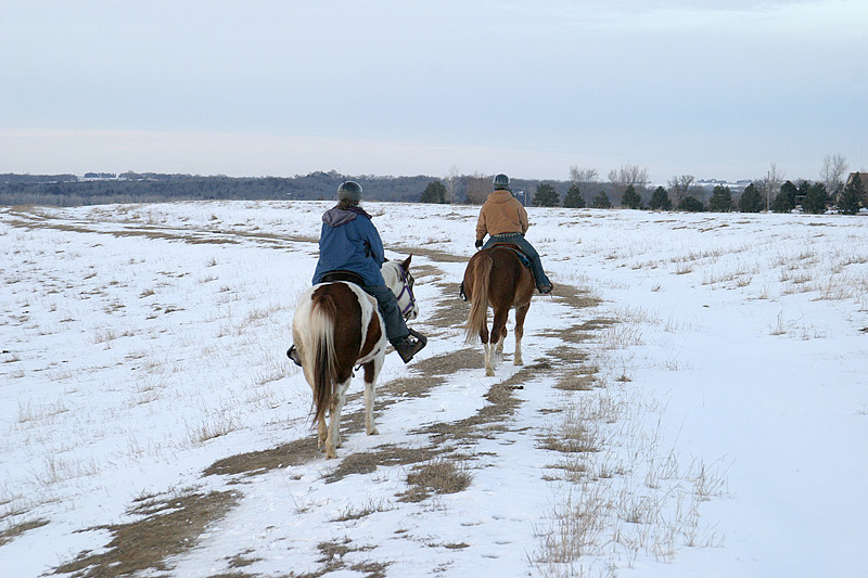 Winter At The Barn - Horse Boarding Stables Omaha/Bellevue/Plattsmouth ...